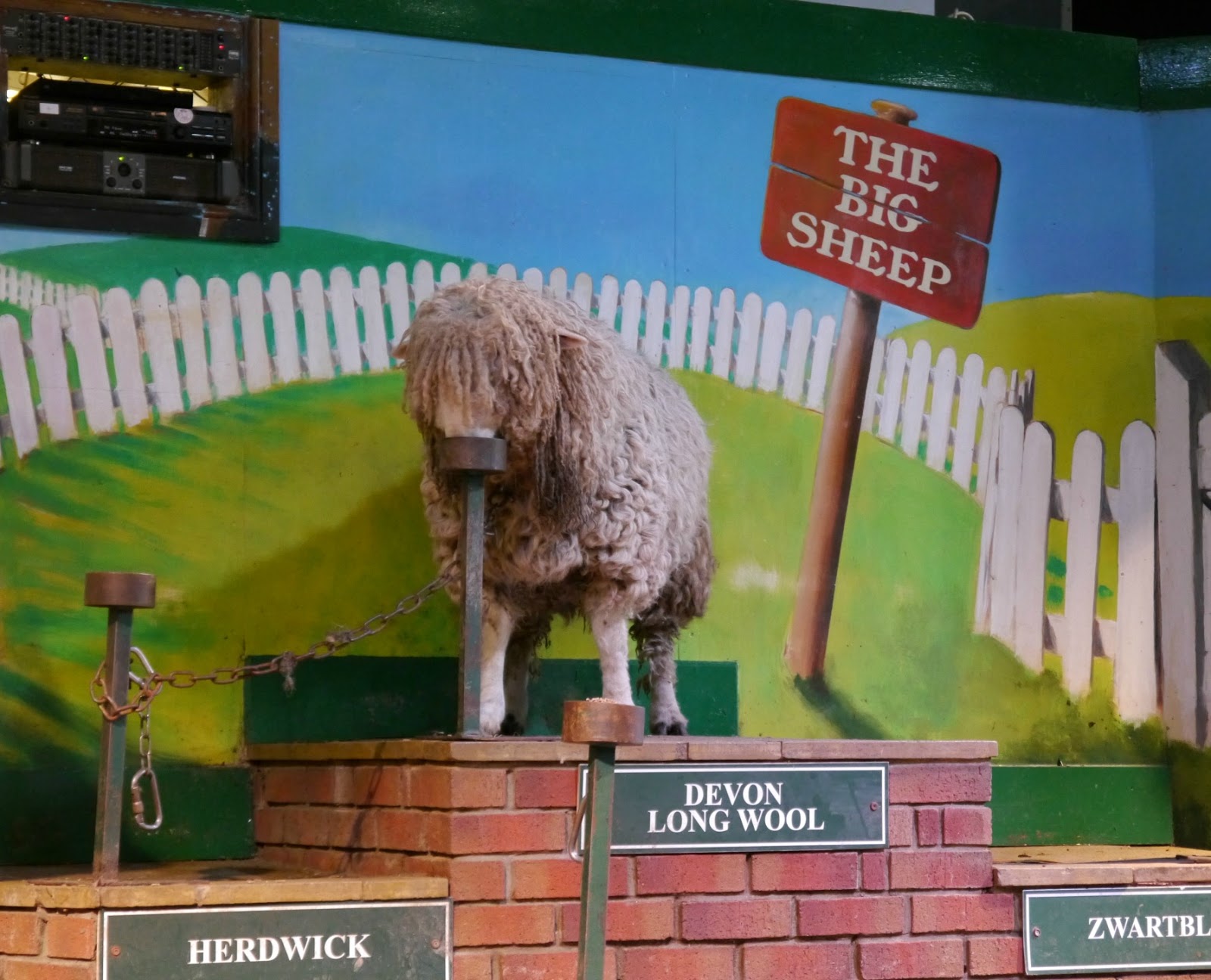 The Mummy Diary: The Big Sheep - A Fun Wooly Day Out