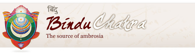 Bindu Chakra | Chakra Healers