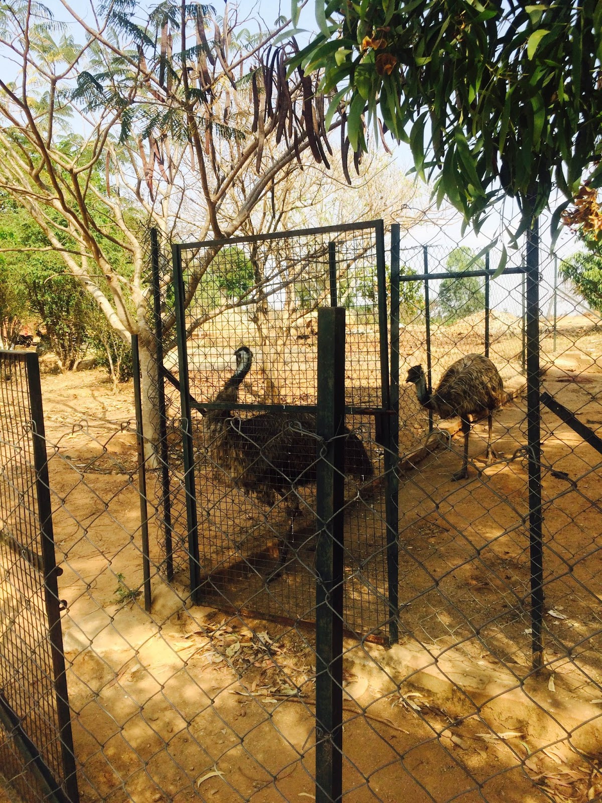 Things to do in Bangalore in a Month in 2025