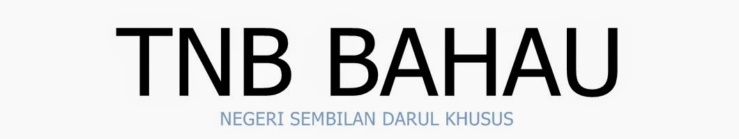 TNB BAHAU: Carta Organisasi TNB Malaysia