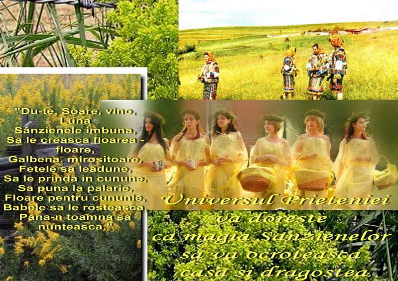 Calendarul zilei: Sânzienele sau Drăgaica - o tradiţie multimilenară