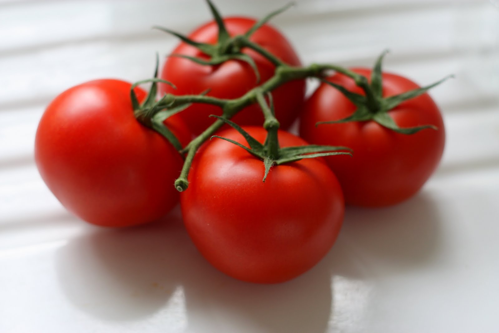 ferske(n)muffins: Nigel Slaters fylte tomater.