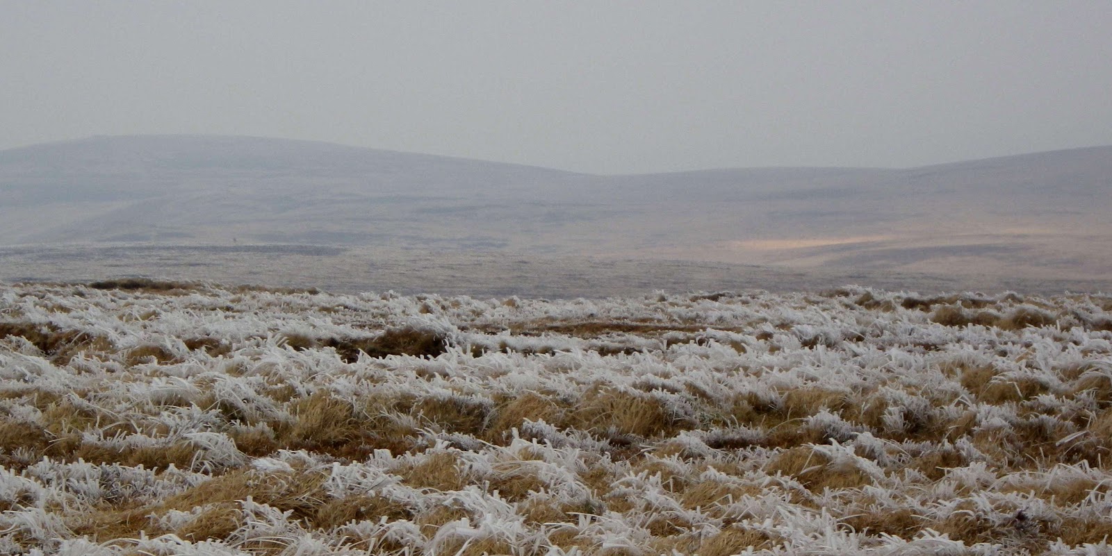 My Dartmoor Walks: Tuesday 26th March Cranmere Pool