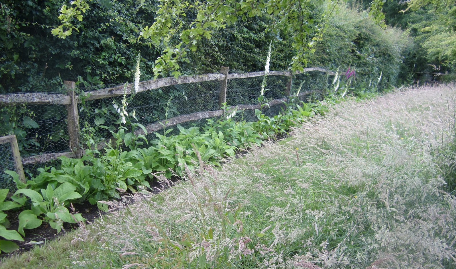 Soaps and Roses: Perch Hill