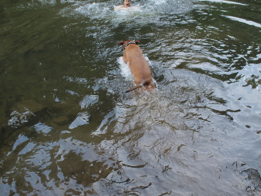 The Paintings and Stories of Robin Frey