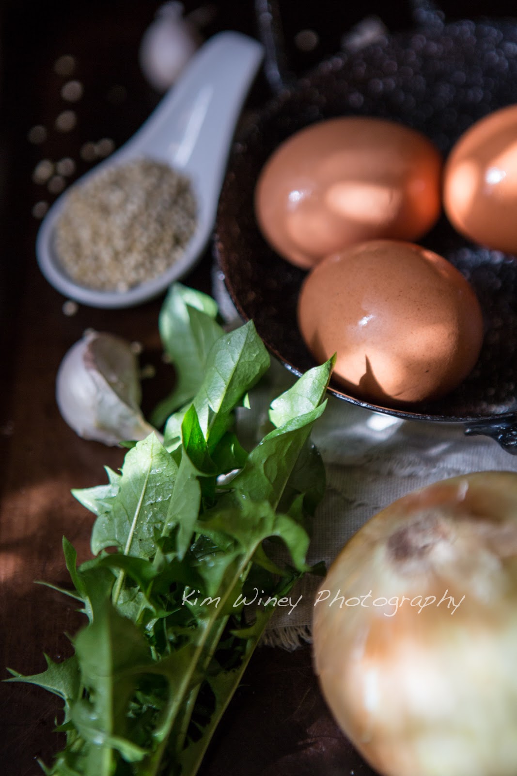 The Blog of Kim Winey: Dandelion Frittata- The TRULY Radical Food!