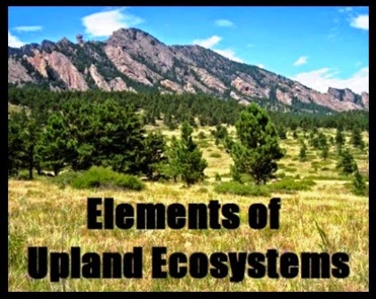 Thoughts to Promote Positive Action...: Elements of Upland Ecosystems
