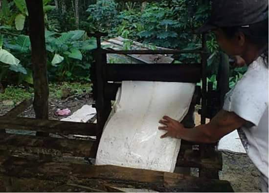 Suriaamanda Pernah Menoreh Getah? ~ SURIA AMANDA