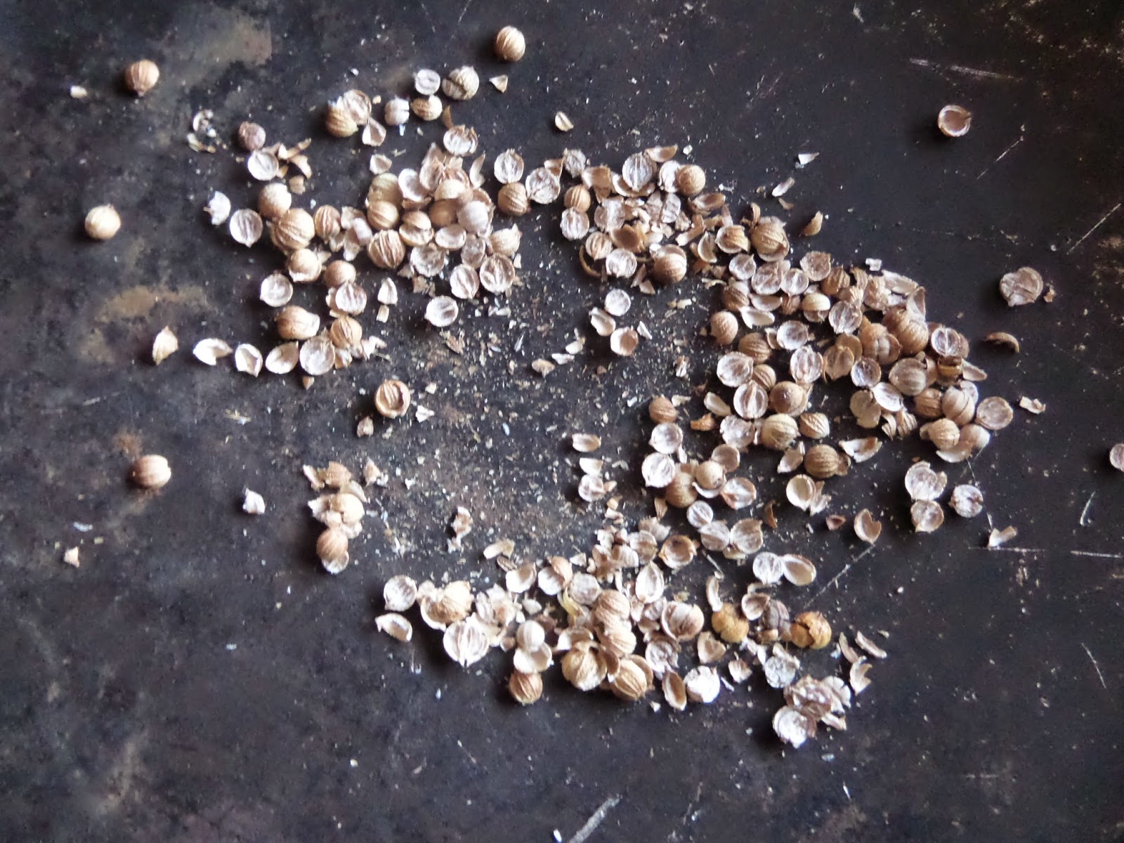 Madhouse Family Reviews: Globe-cooking recipe (South Africa) : Bobotie ...