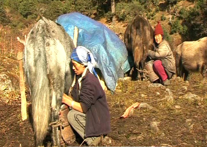 Pictures From Nepal: Chauri