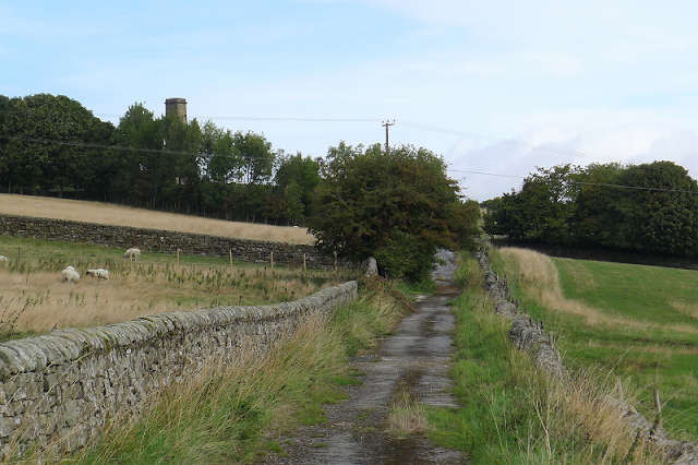 Mines and minerals in Derbyshire (UK): Ladywash Mine