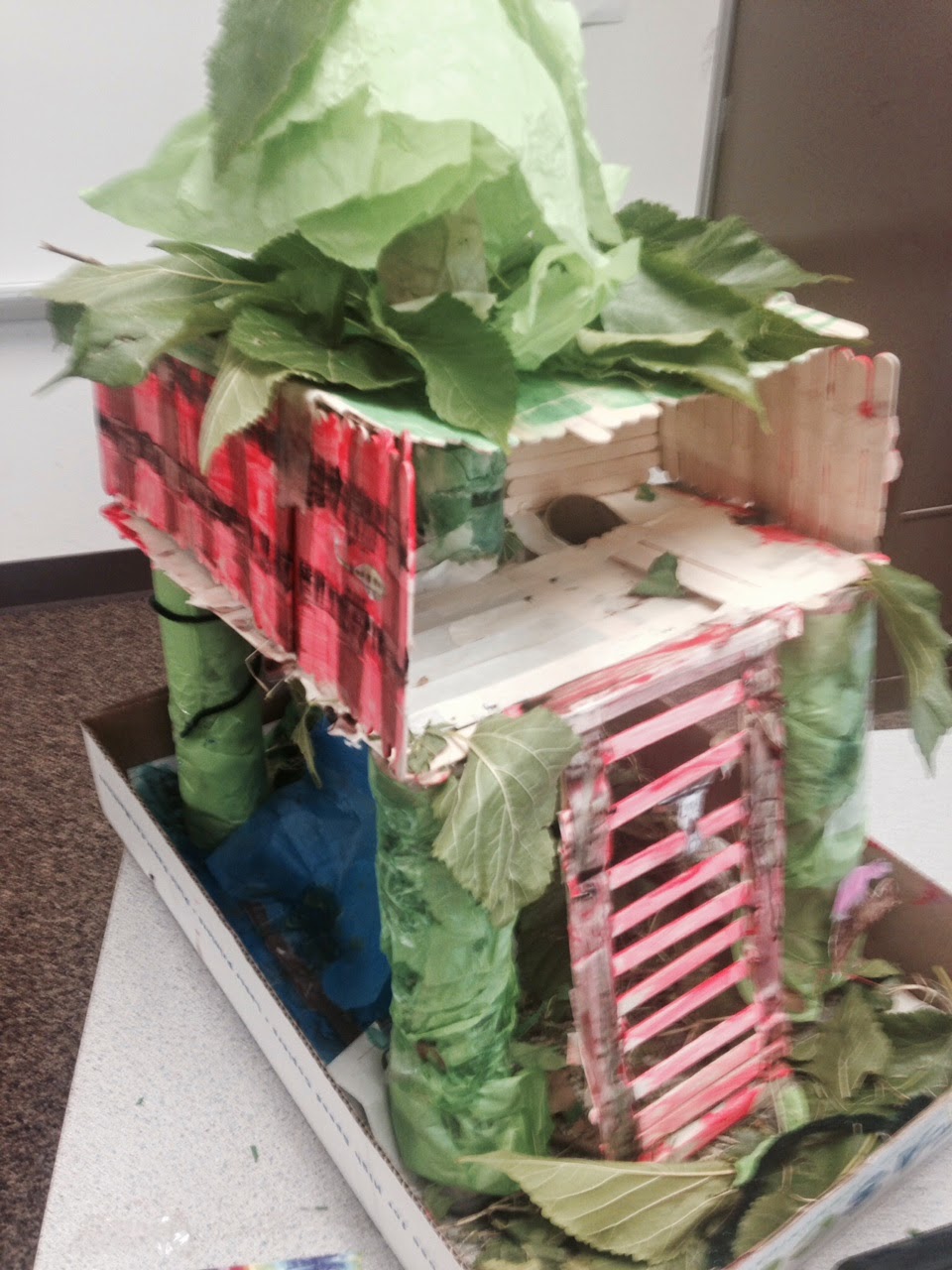 Third Grade with Room Nine: Welcome to the Rainforest