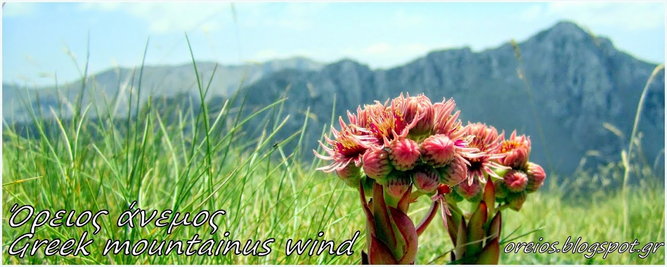 Όρειος άνεμος...Greek mountainous wind...