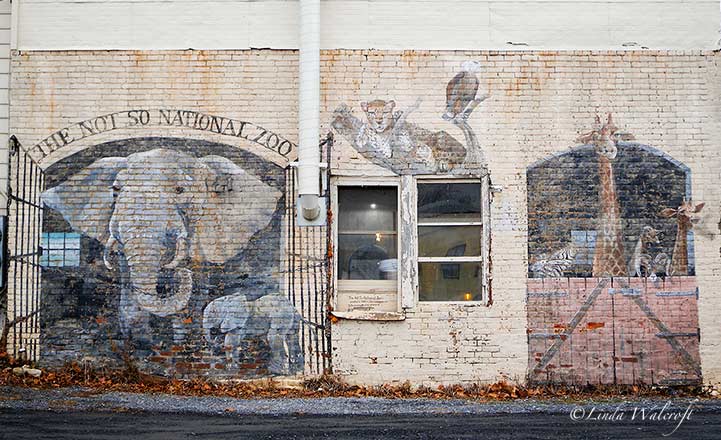 The View from Squirrel Ridge: Zoo Mural in Front Royal