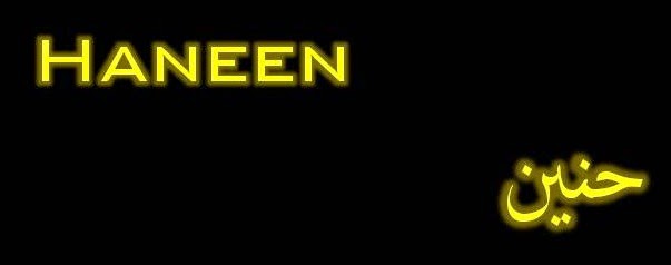 I Will Never Give you Up: H is for Haneen. Your Captain, duh!