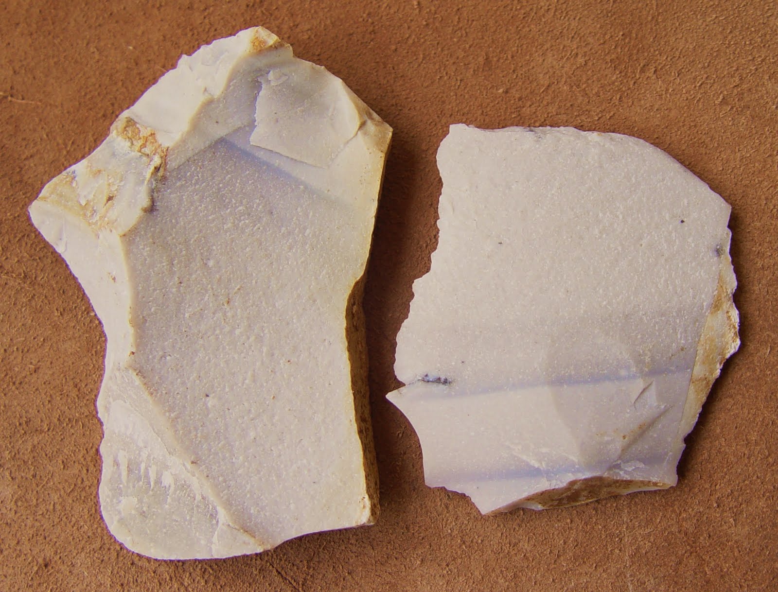 LA MIA PREISTORIA: ANATOMIA DELLA SELCE