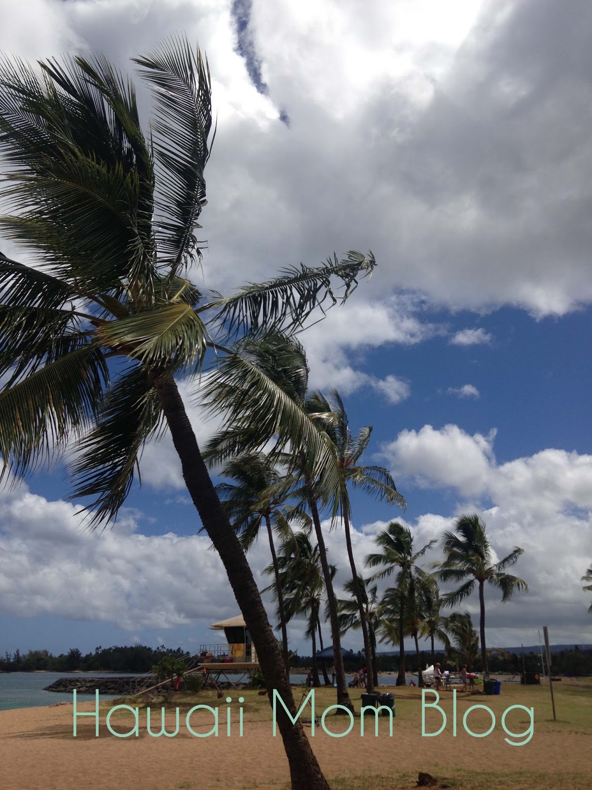 Hawaii Mom Blog: Haleiwa Ali`i Beach Park