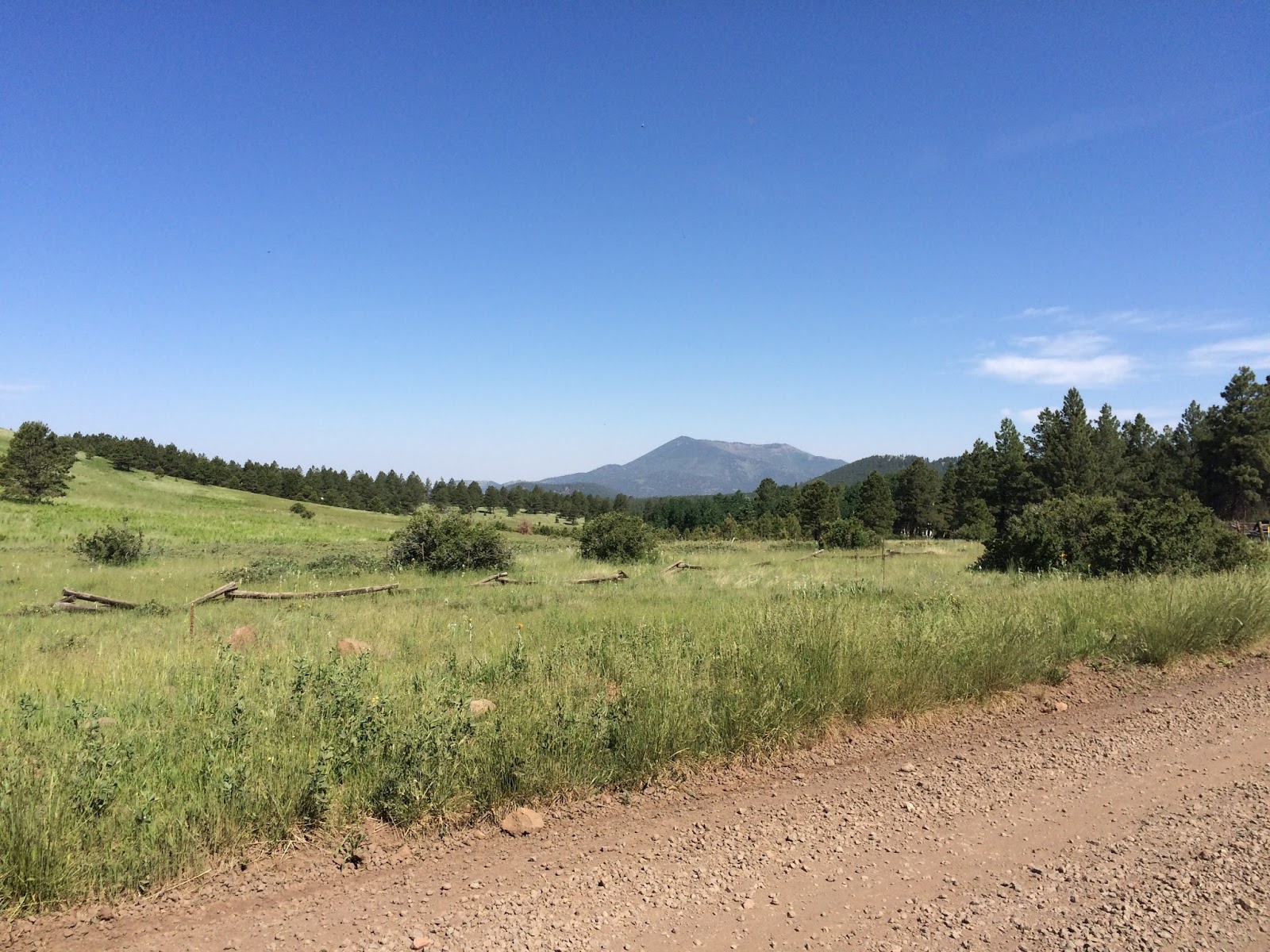 Arizona Trail - Hart Prairie Loop via Mountain Bike