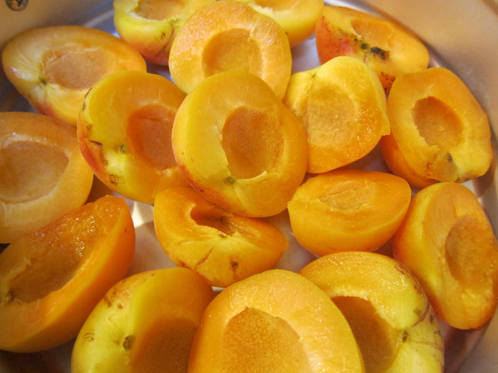Urban Warrior Moms: Apricot Puree