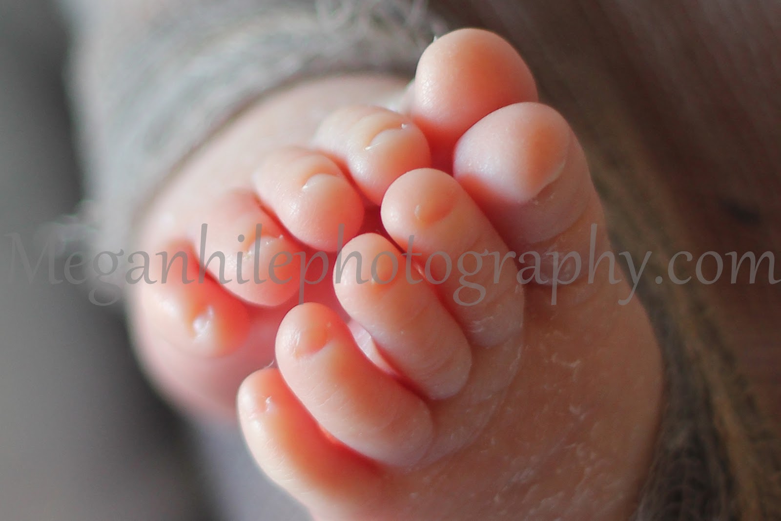 Louisville Newborn Photographer :: Megan Hile Photography: Baby Toes it is