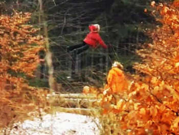 7 Mysterious Flying Creatures and Things Caught on Camera | Evortless