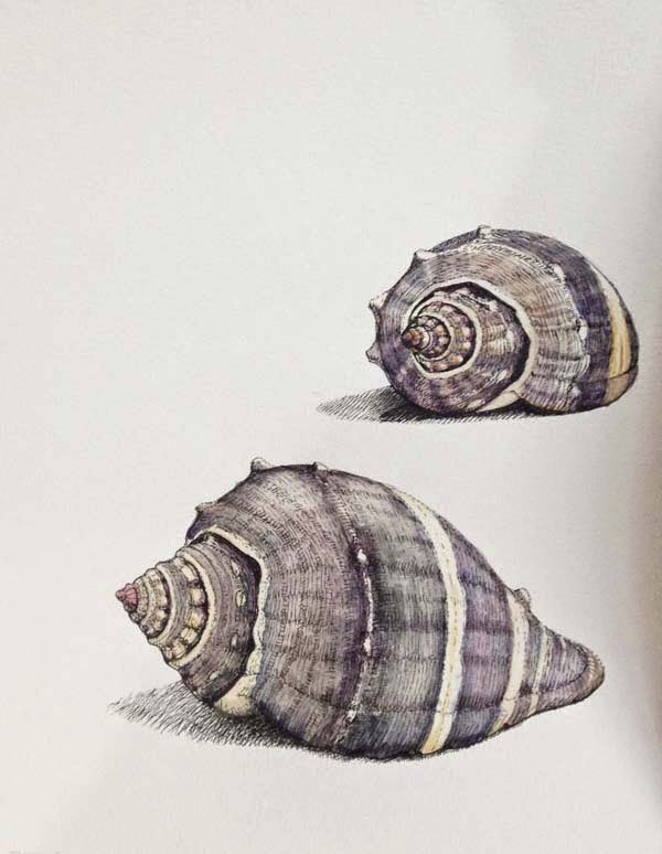 Vito Acosta | Arte y Conservación talleres