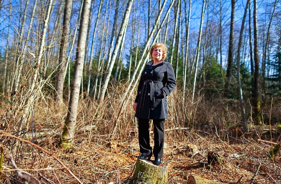 Real estate lawyers are immune to prosecution?