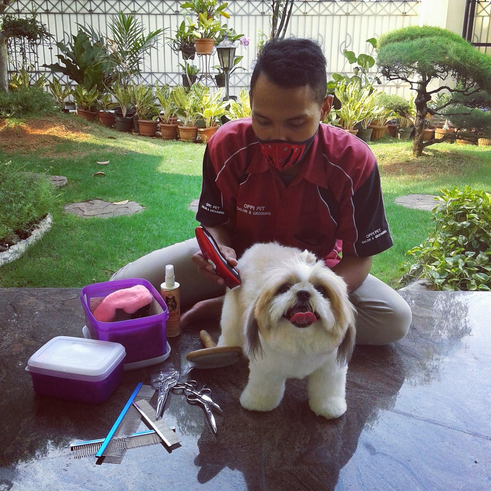 OPPI PET SALON & GROOMING JAKARTA-BEKASI: OPPI PET SALON & GROOMING # ...