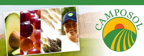Camposol:Mango en conserva: Certificaciones de Camposol