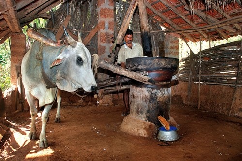 Traditional Livelihood and Occupations ~ Professional Shiksha