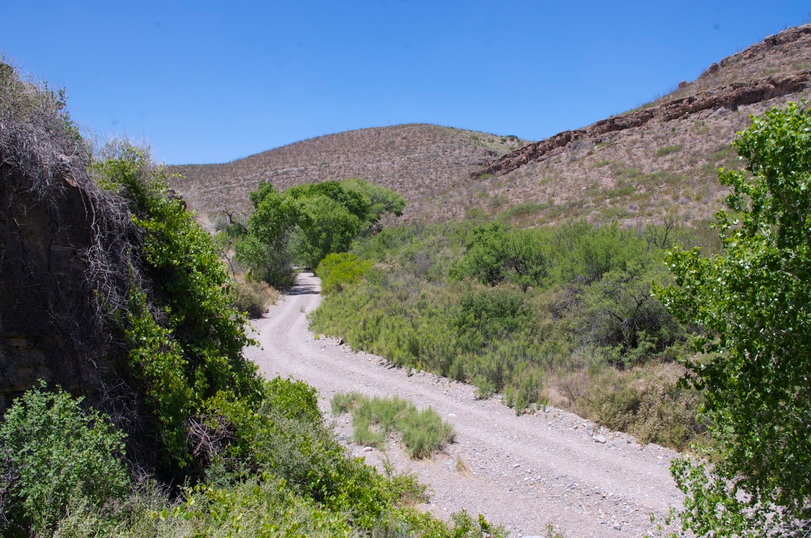 Southern New Mexico Explorer: Hembrillo Canyon