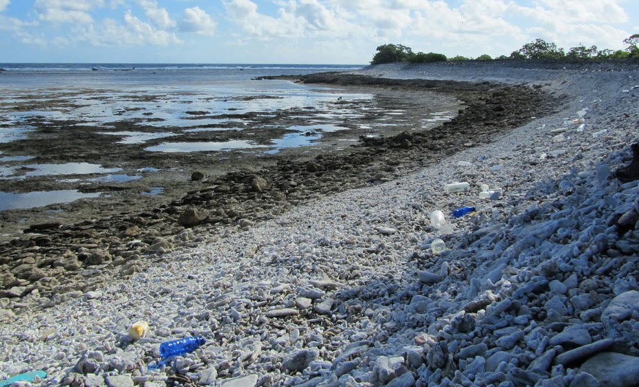 Amelia Earhart Archaeology: Pacific Gyre Meets Nikumaroro