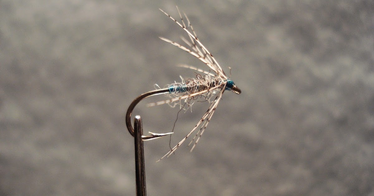 SOFT HACKLES, TIGHT LINES: Blue Partridge