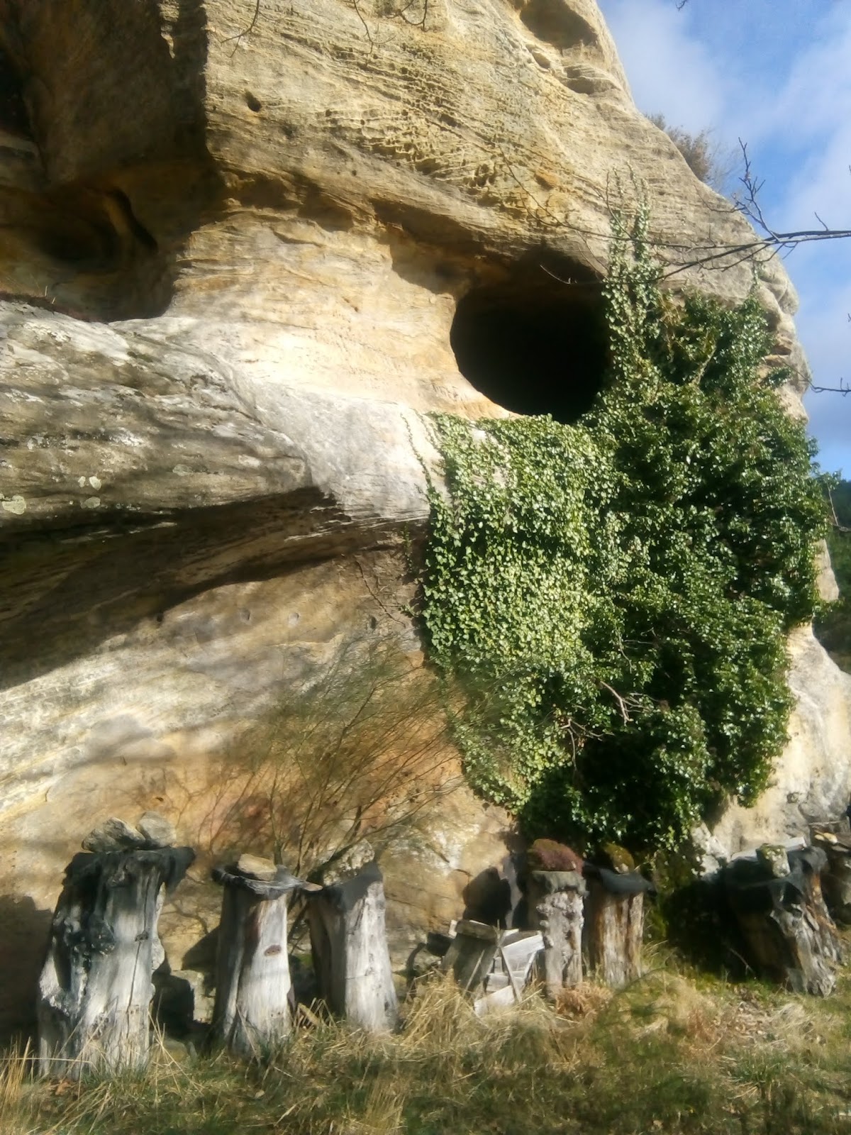 El Robledal de Todos: Dujos