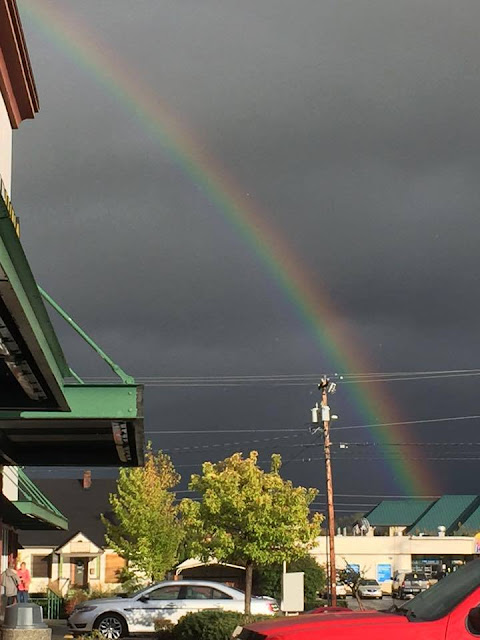 All This Is That: Seattle rain festival