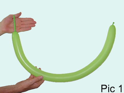 CLASSICAL: Balloon Shrek