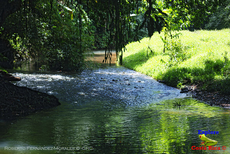 Palenque Margarita -San Rafael de Guatuso, Alajuela- | Explore Costa Rica
