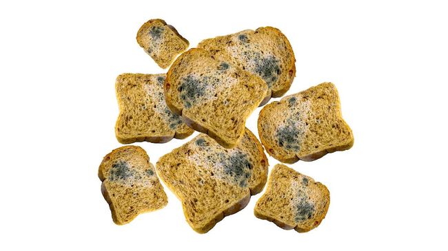 Cara Mencegah Roti Berjamur - mencegah.com | Lebih Baik Sebelum Menyesal...