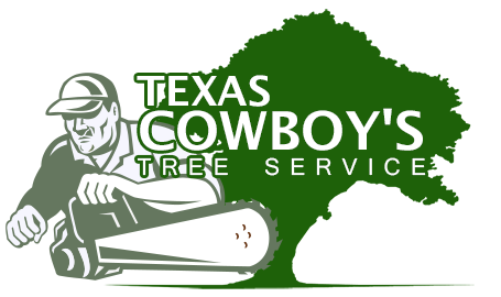 Texas Cowboy's Tree Service