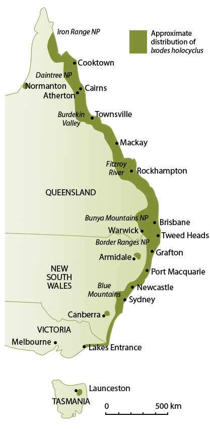 Protecting Dogs from Fleas and Ticks | Australian Dog Lover