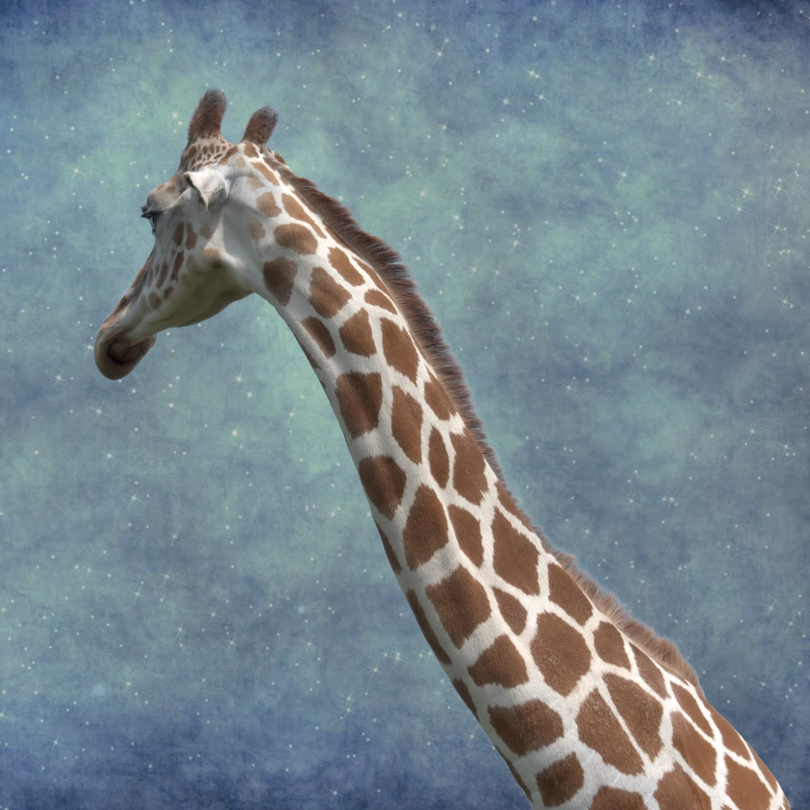 Rad A. Drew Photography: Flypaper Textures for Mobile and Traditional ...