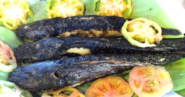 Ilocos: Grilled Catfish