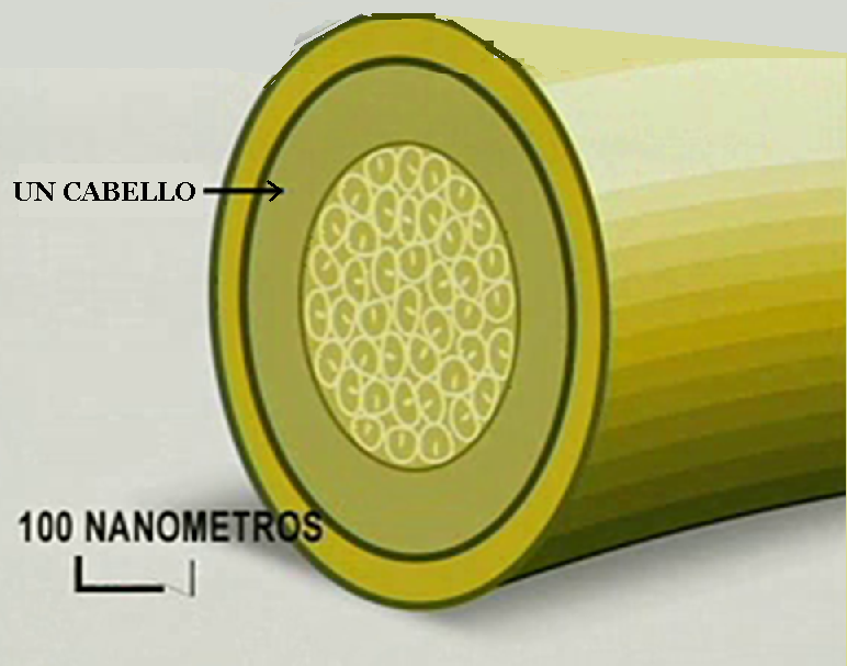 Avances e impacto de la nanotecnología | Natura