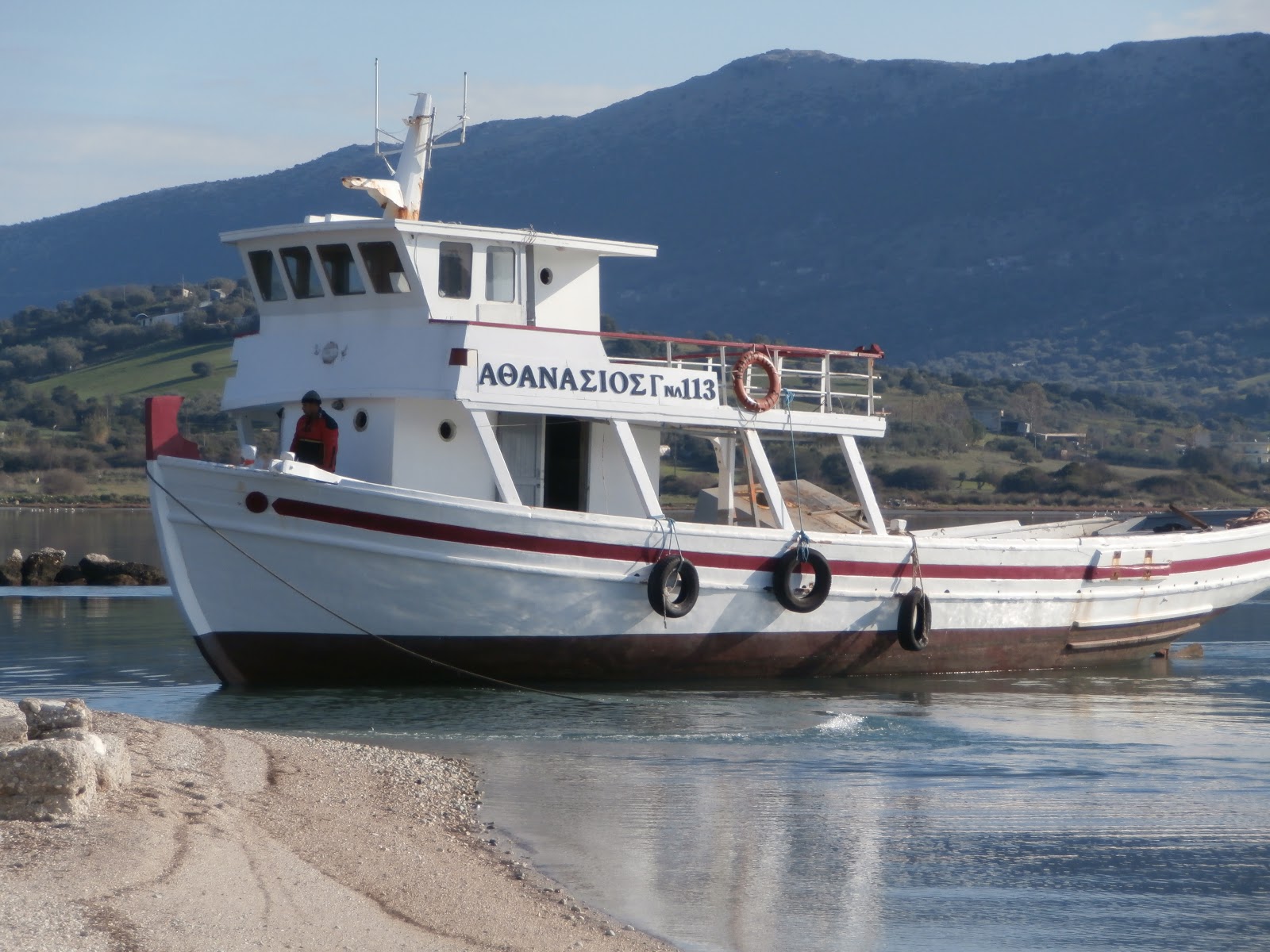 Τα θαλασσινά....: Στην ελλαδα τα καικια τα σκοτωνουν....