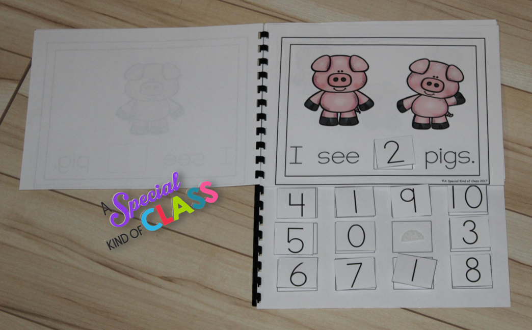 A special kind of class: More Pigs