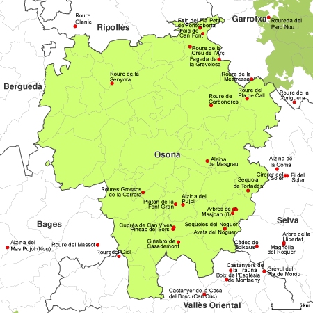 Blog d'una selenita: Arbres Monumentals d'Osona