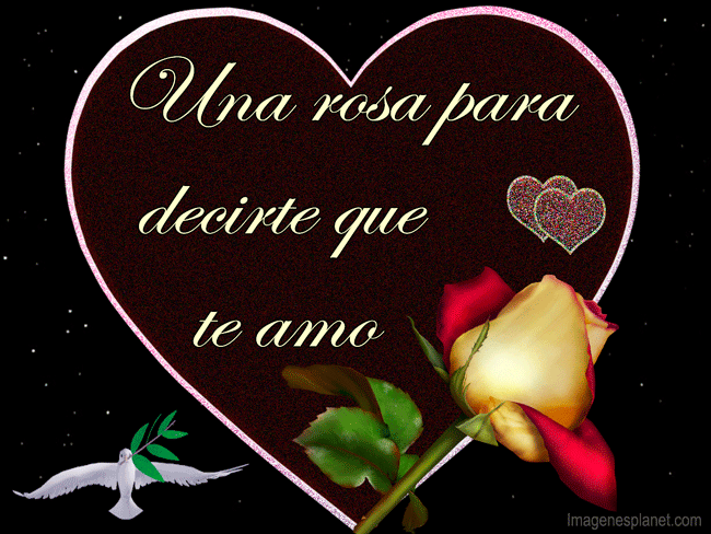 Amor y sentimientos del corazon: Una Rosa para decirte " Te Amo