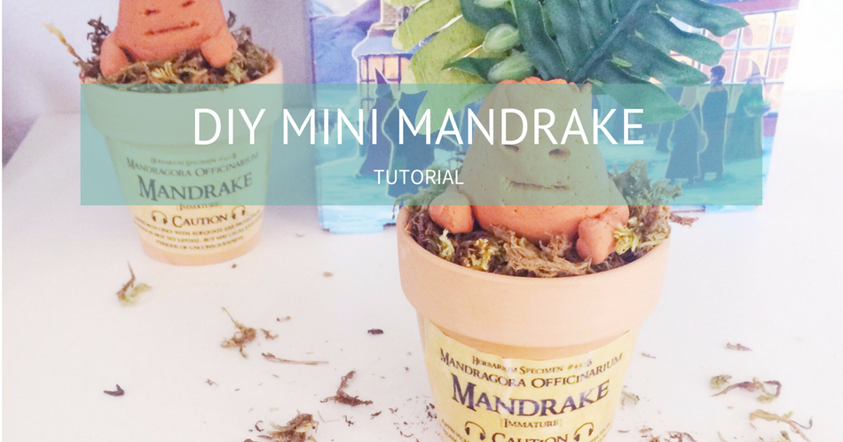 DIY Mini Potted Mandrake | Worthington Ave