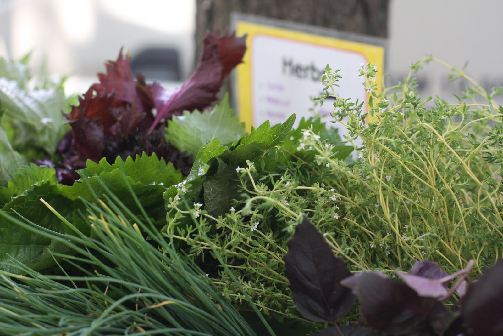 Family2Table: Herbage