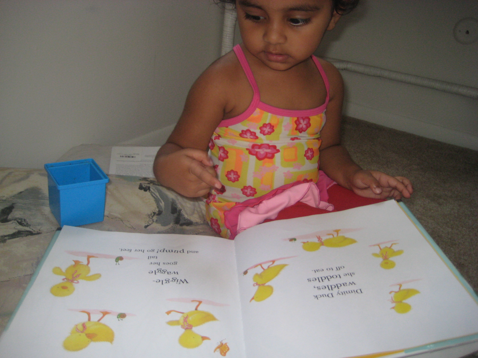 Life with Liya and Zain: Book of the Week :: Dimity Duck